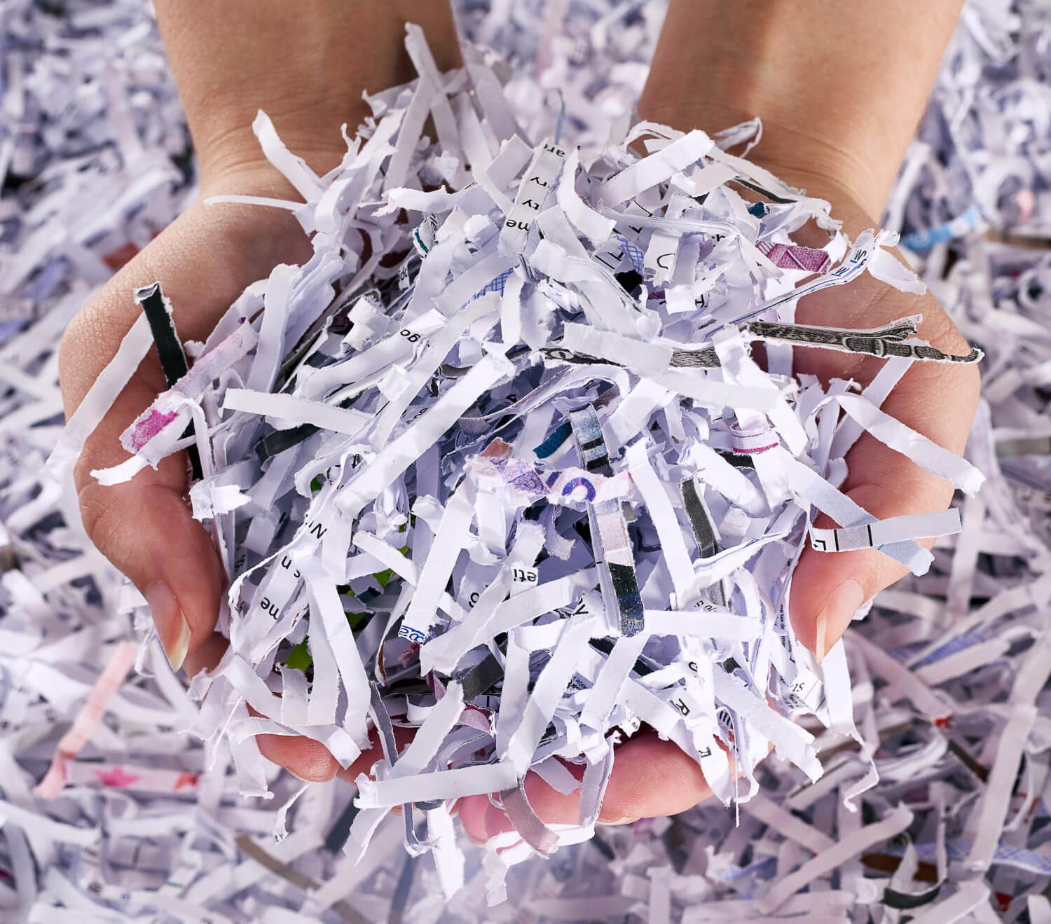 Paper Shredding | ShredBee | Shredding Services
